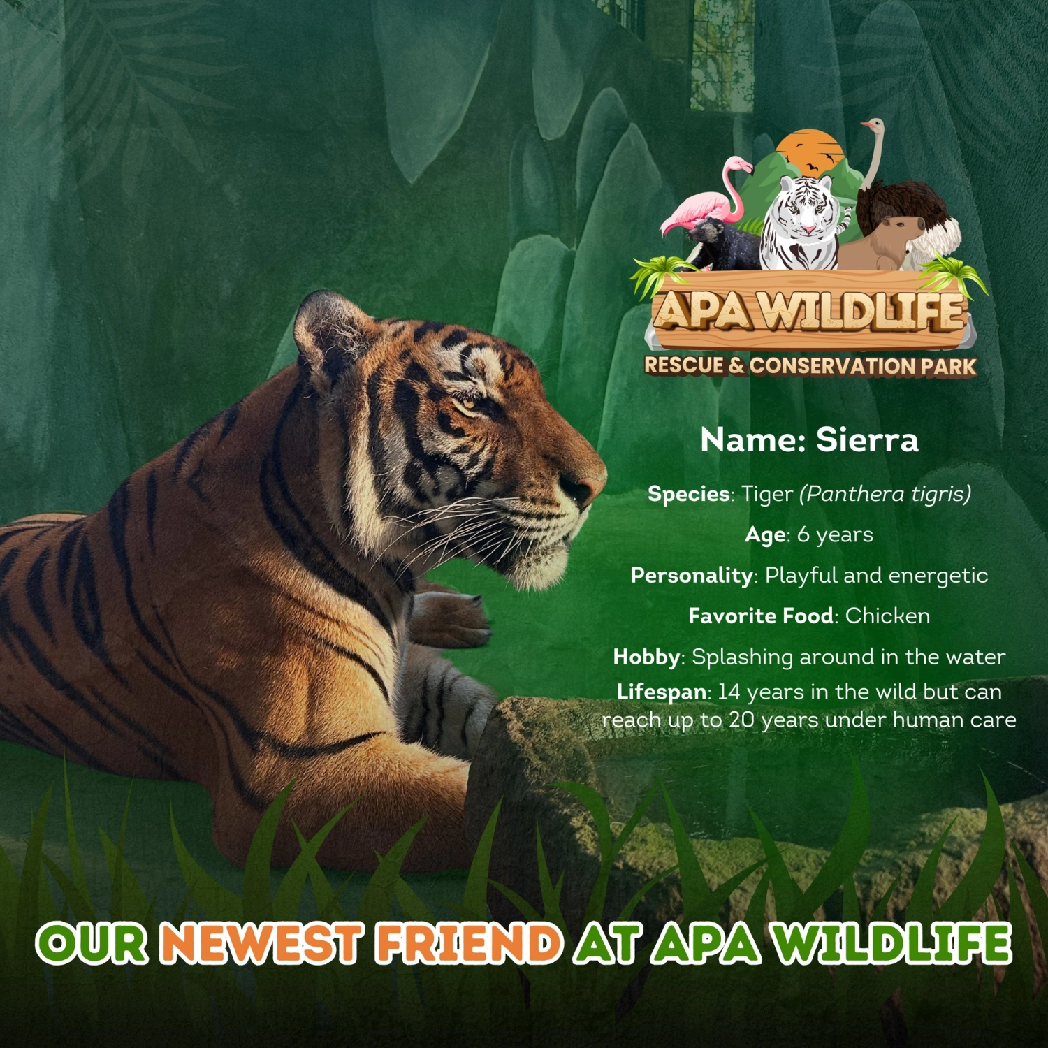 Admissions | APA Wildlife