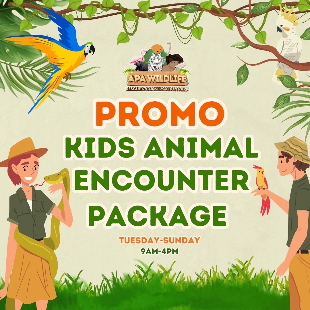 KIDS ANIMAL EXPERIENCE PACKAGE | APA Wildlife