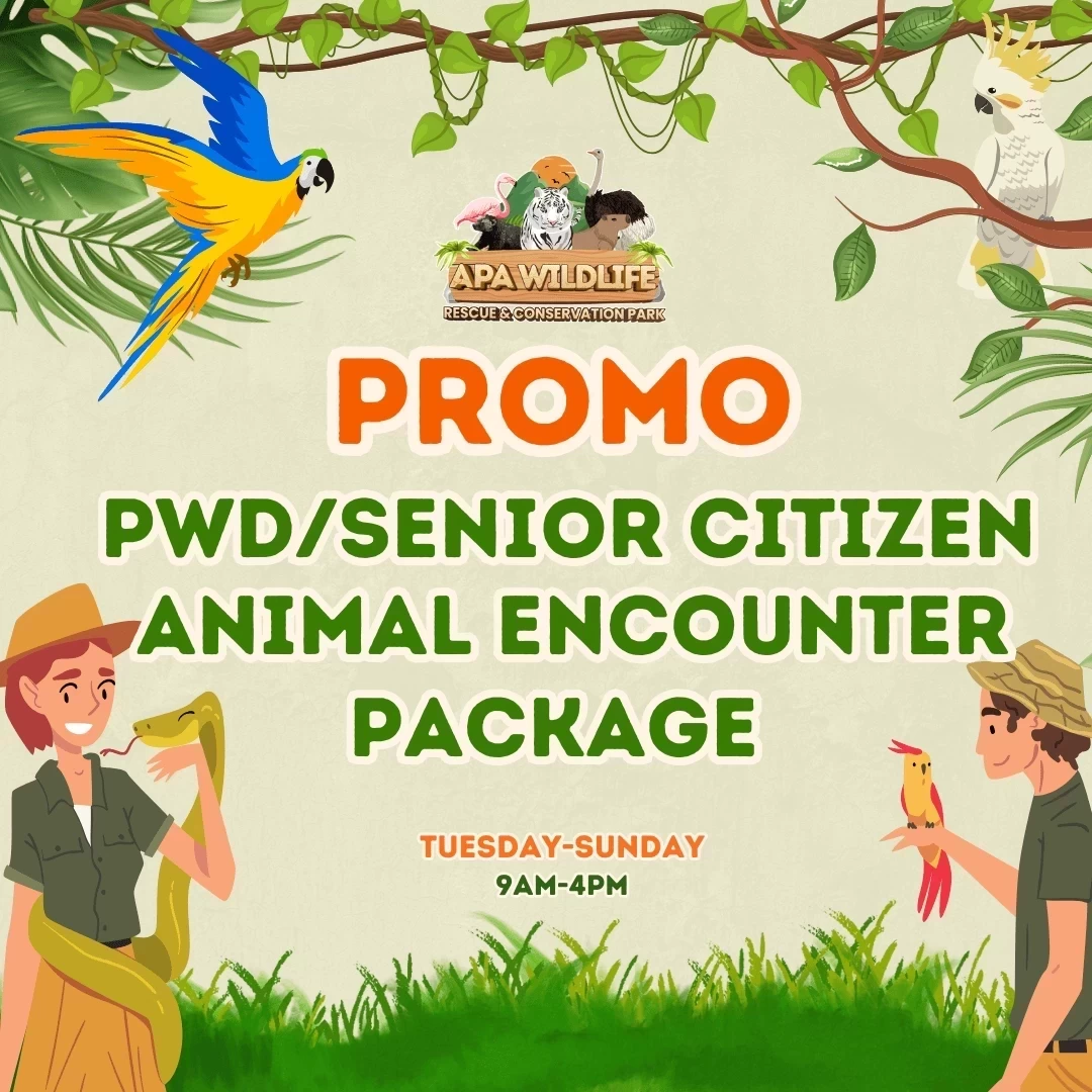 PWD/SENIOR CITIZEN ANIMAL EXPERIENCE PACKAGE | APA Wildlife