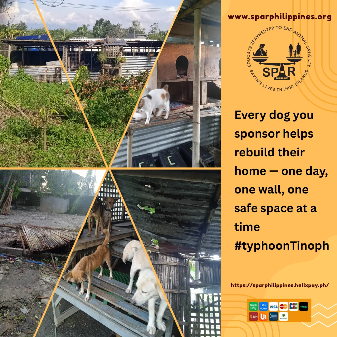 HELP US RE-BUILD THEIR SAFE PLACE #TYPHOONTINOPH | SPAR Philippines ...